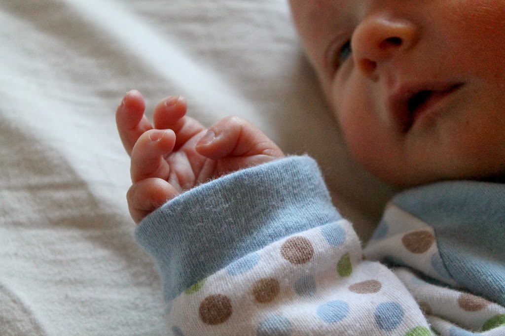 Two Weeks // Dear Levi. - Kendall Rayburn