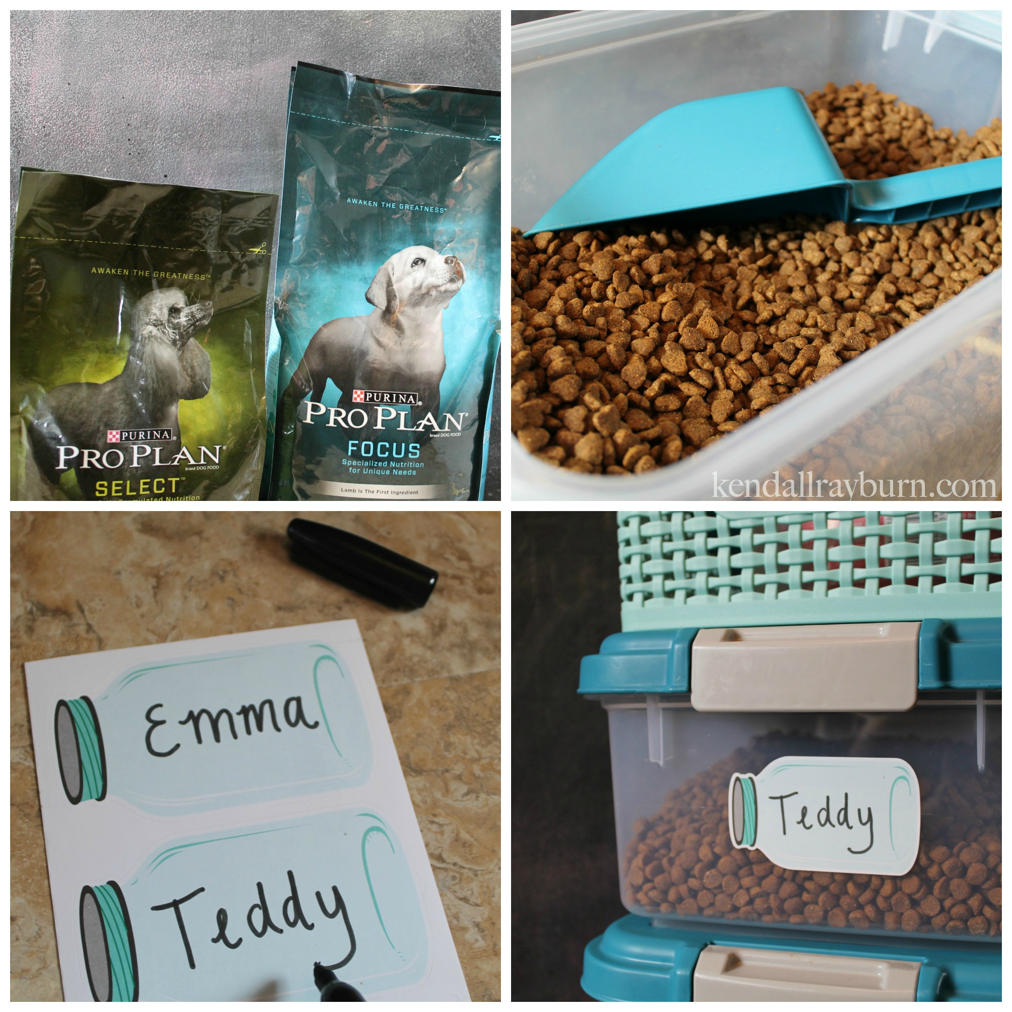 Dog Food Organization - Kendall Rayburn