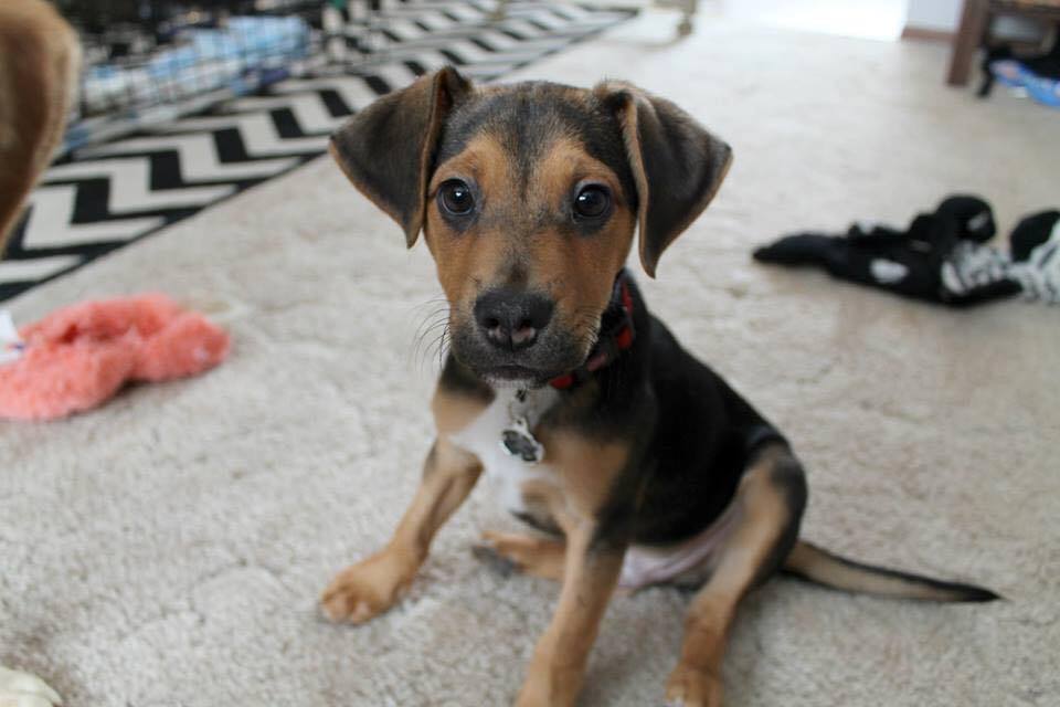 Meet Ted. - Kendall Rayburn