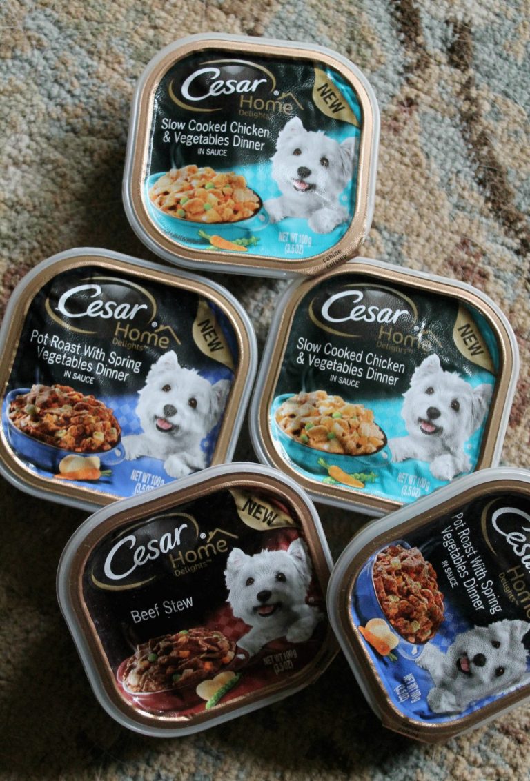 CESAR® Home Delights™ Ted's Favorite Flavors - Kendall Rayburn