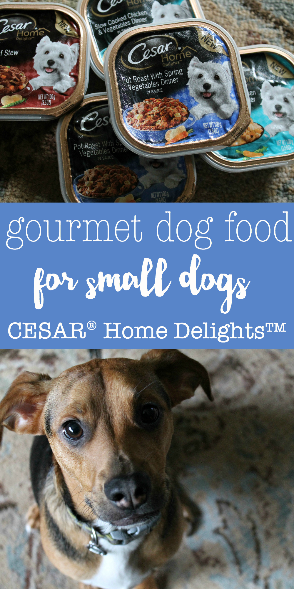 Falling for Ted - Kendall Rayburn