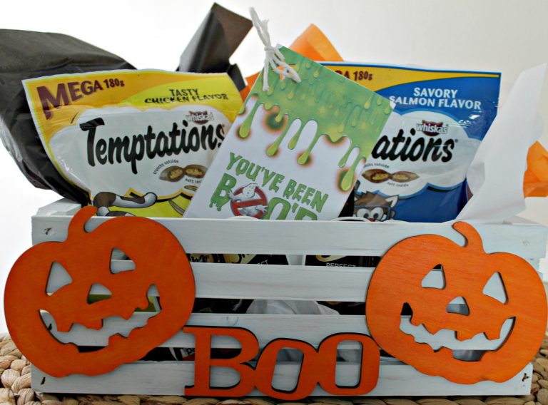Halloween BOO kit - How to create a DIY Halloween BOO kit for Cats!