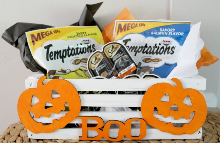 Halloween BOO kit - How to create a DIY Halloween BOO kit for Cats!