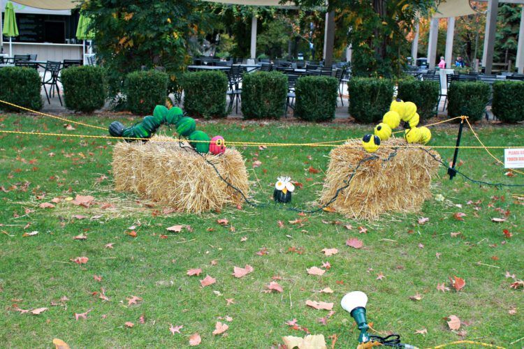 Detroit Zoo Boo with the Toyota RAV4 - Fun at the Zoo!