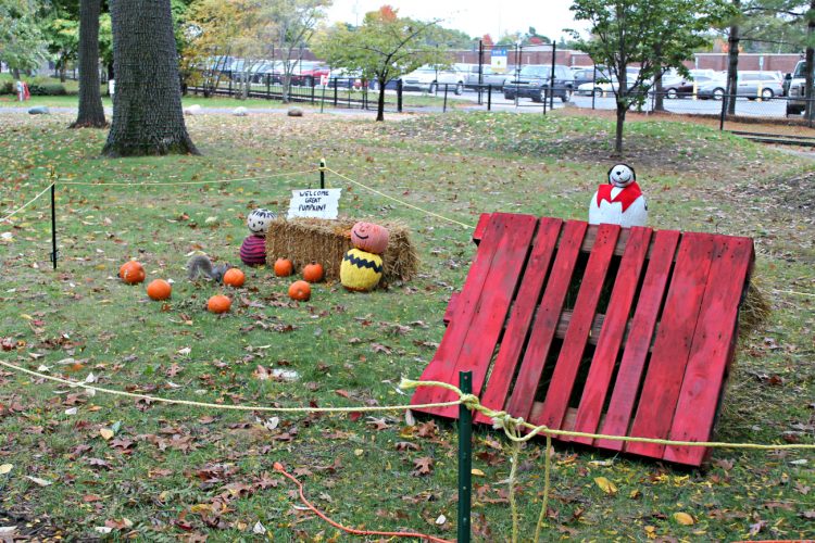 Detroit Zoo Boo with the Toyota RAV4 - Fun at the Zoo!