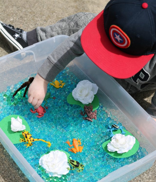 Frog Sensory Bin