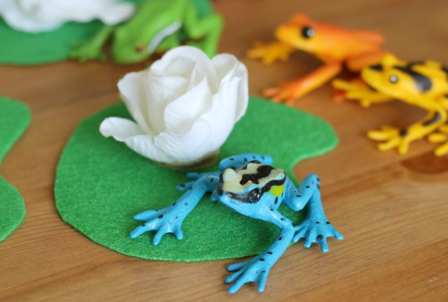Frog Sensory Bin