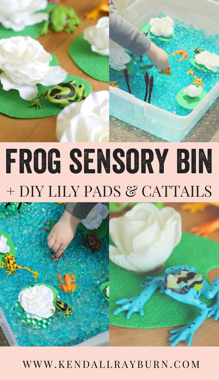 Frog Sensory Bin